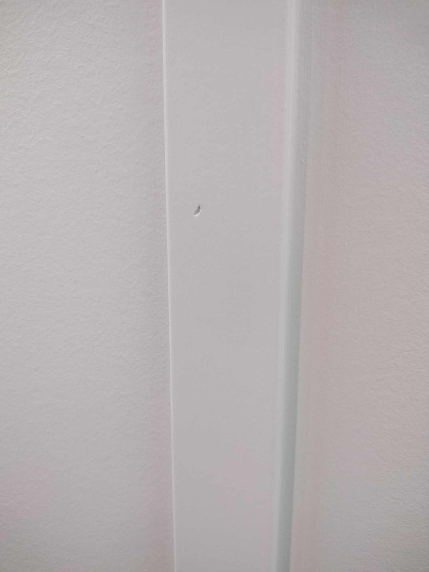 Board And Batten Wall: Easy Step-By-Step Tutorial That Will Transform ...